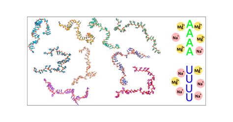 Rna Structure