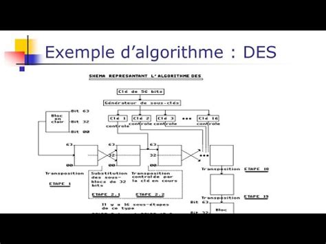 Algorithme Programmation pour les débutants YouTube