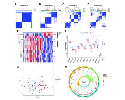 consensus clustering of 12 significant m6a regulators in ipf a d