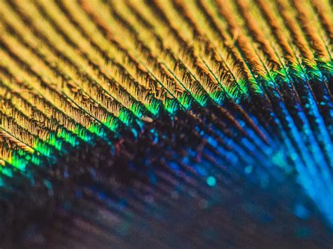 How To Boot Your Galaxy S10 Into Recovery Mode And Download Mode