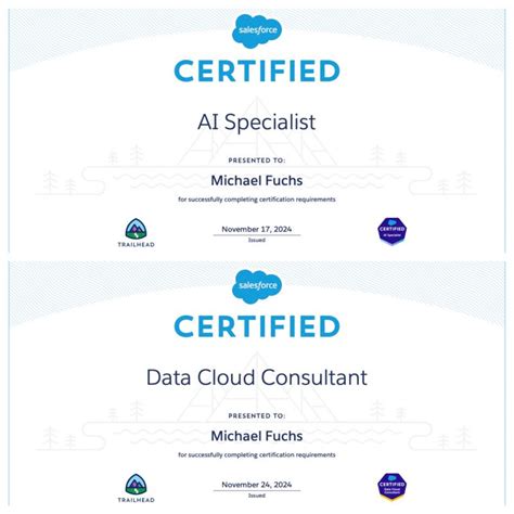 Salesforcecertified Ai Datacloud Mike Fuchs 24 Comments