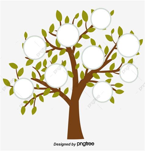 صلة الشجرة الكبيرة أسرة Png تنزيل ، شجرة عائلة بسيطة مرسومة باليد