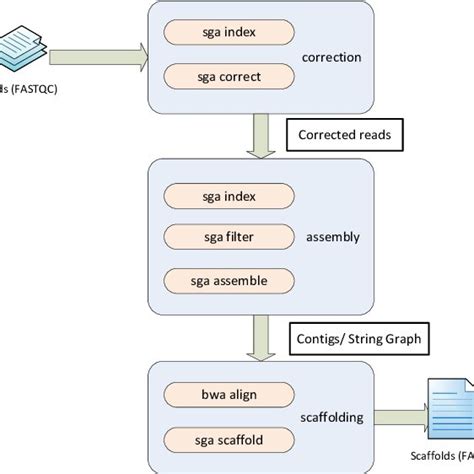 Mutation Analysis Workflow Download Scientific Diagram