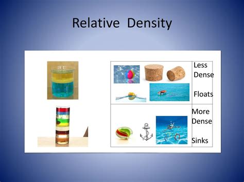 5th Grade Science Graphic Organizers Ppt Download