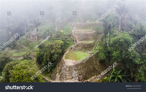 910 Imágenes De Cultura Precolombina Colombia Imágenes Fotos Y