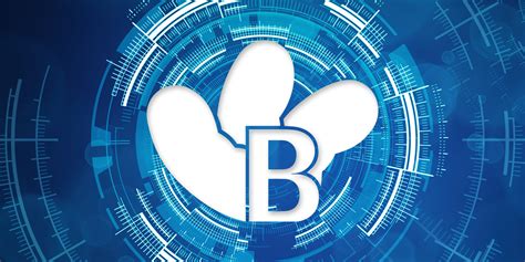 Technical Support Satisfaction Survey Form BeanAir