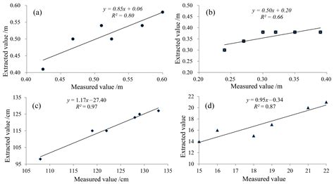 Automated Phenotypic Trait Extraction For Rice Plant Using Terrestrial