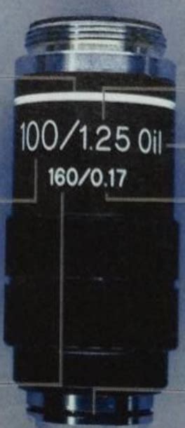 Microscope Lens Labeling Diagram Quizlet