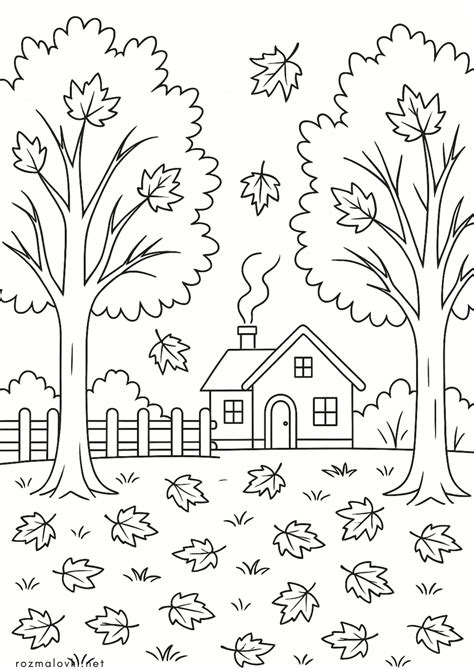 Розмальвоки про Осінь 🍂 осінні розфарбовки роздрукувати безкоштовно А4 скачати Розмальовки