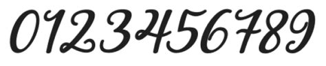 elation script italic regular otf 400 font script elegan what font is