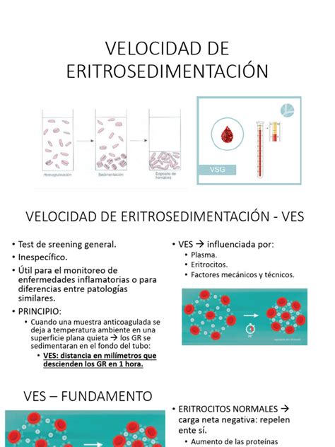 Velocidad De Eritrosedimentación Pdf Sangre Hematología