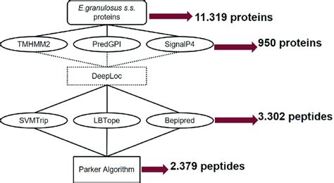 Bioinformatics And Experimental Workflow To Identify Most Exposed Download Scientific Diagram