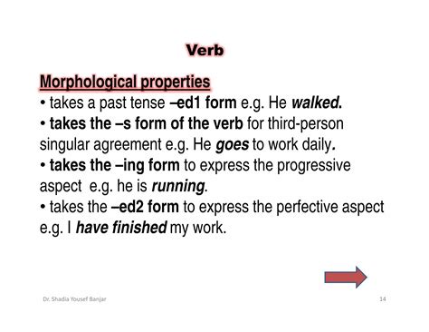 Syntactic Categories By Dr Shadia Yousef Banjarppt Compatibility