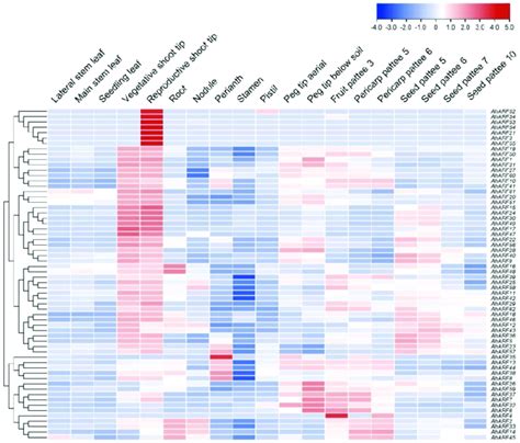 Heatmap Illustration Of Tissue Expression Patterns Of Aharfs Based On