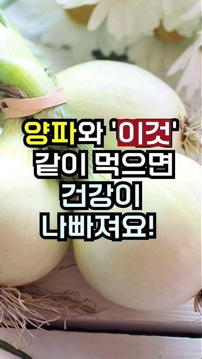양파와 절대로 함께 먹지 마세요 양파와 최악의 궁합인 음식과 최고인 음식 Shorts 건강 건강습관 건강정보 50대