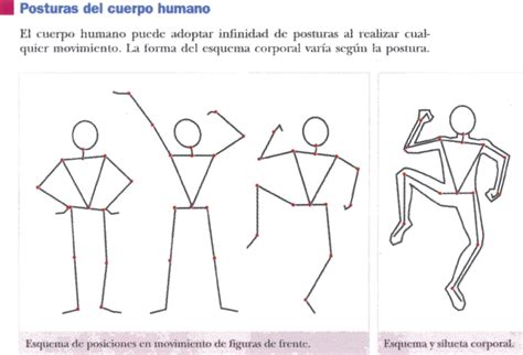Figuras Del Cuerpo Humano