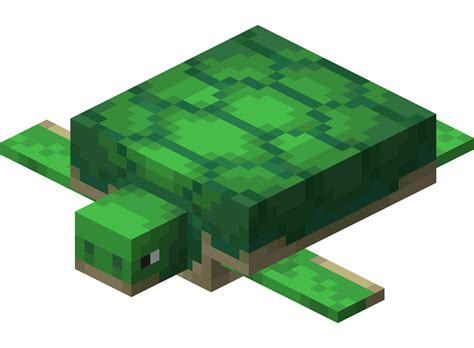 File Turtle Png Official Minecraft Wiki