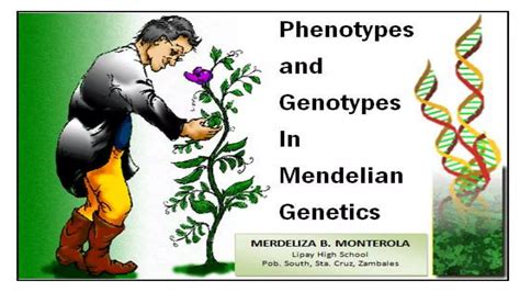 Strategic Intervention Material Sim 102 Pptx