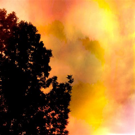 Stormy Cloudporn Tree Home Of The Drivel Slingshot