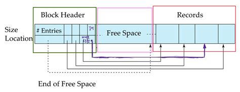 Db Data Storage Structures Brain Backup
