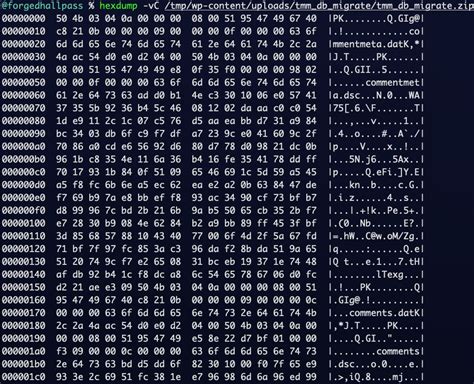 In Case Of Binary Data Show A Hexadecimal View As Well Issue Projectdiscovery Nuclei