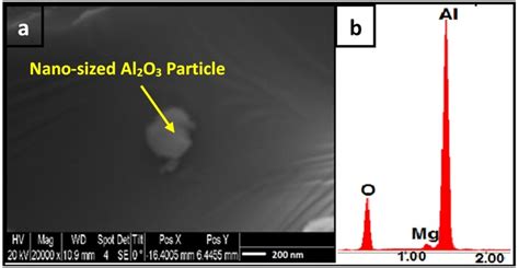 A Sem Image Of Nano Particle Present In The Center Of A Grain B Eds