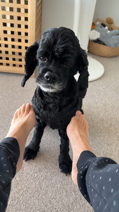 간질간질 발가락 마사지 Youtube