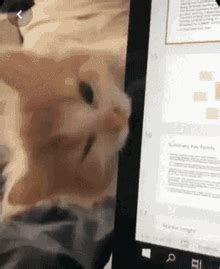 Counting Game Count To 50 Without A Female Interrupting Page 3504