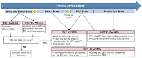 Hcp Analysis Using Automated Immunoassays Bioprocess International