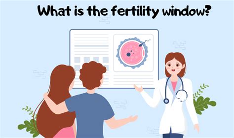 Fertility Window Calculate Best Days To Conceive Selin App