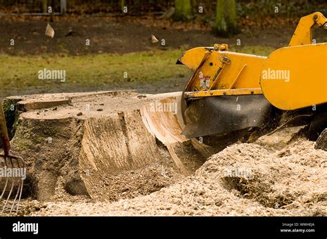 Root Cutter Machine High Resolution Stock Photography And Images Alamy