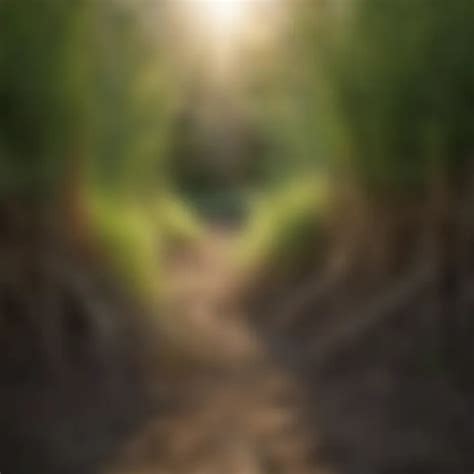 Exploring Tall Fescue Grass Seed Characteristics And Benefits