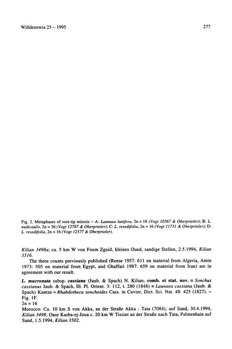 Metaphases Of Root Tip Mitosis A Launaea Lanifera 2n 18 Vogt 10567 Download Scientific