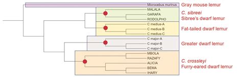 Bioinformatics Activities For The Classroom Minipcr Bio Bioinformatics Activities For The Classroom Minipcr Bio