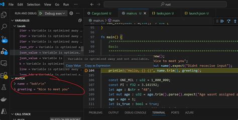 How Do I Inspect Local Variables Or Use The Watch Window With Rust Code