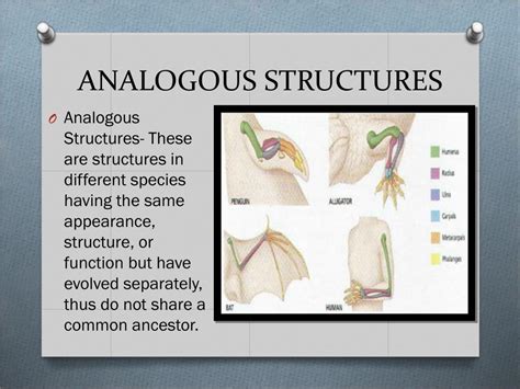 Ppt Are We Really Different Powerpoint Presentation Free Download