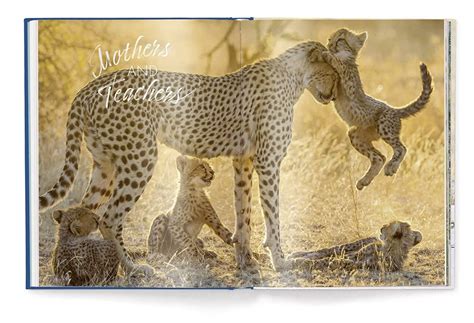Fearless Females Mothers Hunters And Teachersteneues9783961713516