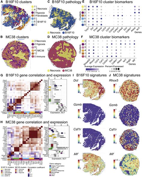 Assessment Of Spatial Transcriptomics For Oncology Discovery Cell
