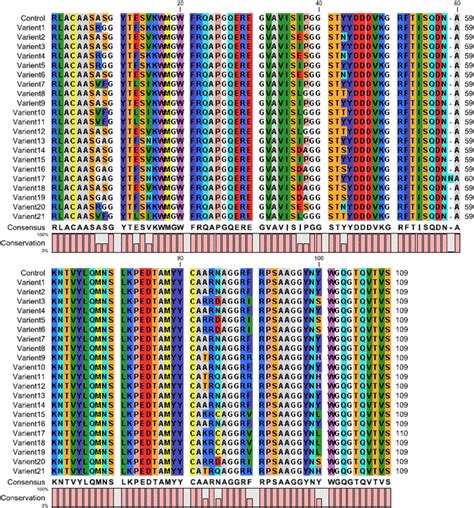 Illustration Of Mutations Sequences Alignment Alignments Generated By