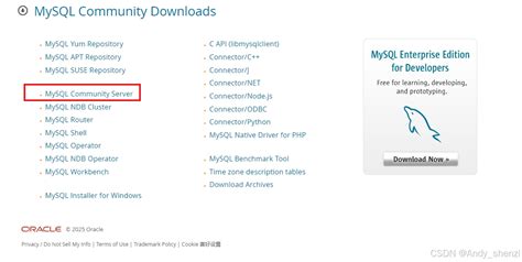 Windows环境下mysql安装与配置mysql 8041widnows安装 Csdn博客