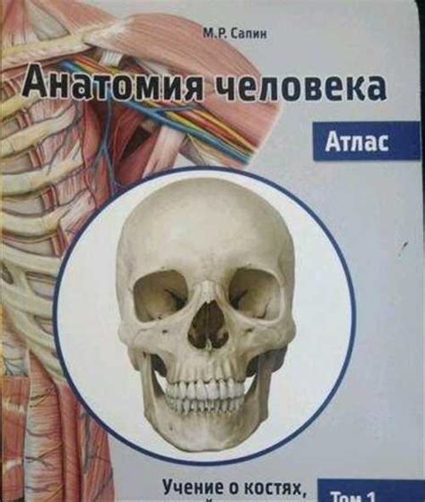 Атлас Анатомия человека Сапин | Festima.Ru – частные объявления
