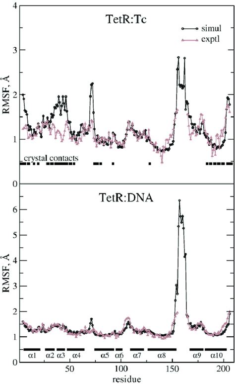 Rms Atomic Fluctuations Estimated From The Md Simulations And The