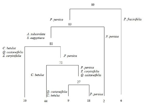Dendrogram Derived From The Twinspan Analysis In Regeneration Layer