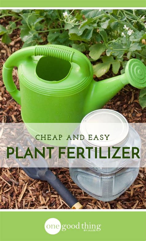 How To Make An Easy And Inexpensive Homemade Plant Fertilizer With