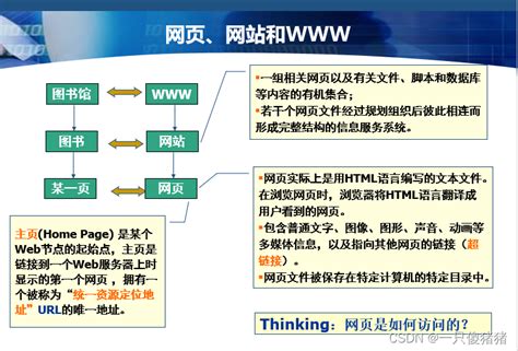 网站开发基础知识 csdn博客