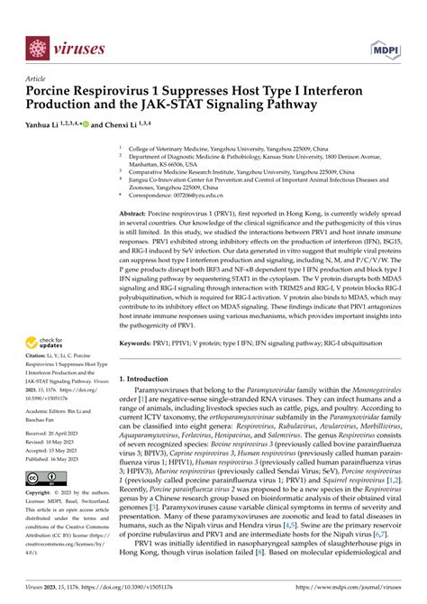 Pdf Porcine Respirovirus 1 Suppresses Host Type I Interferon Production And The Jak Stat
