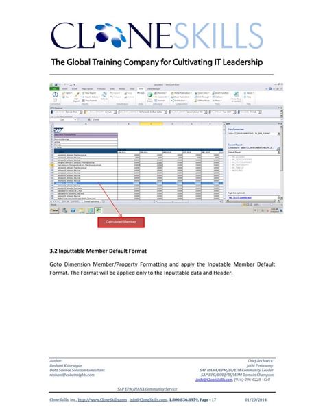 Step By Step Guide To Formatting The Sap Bpc Epm Sheet Pdf