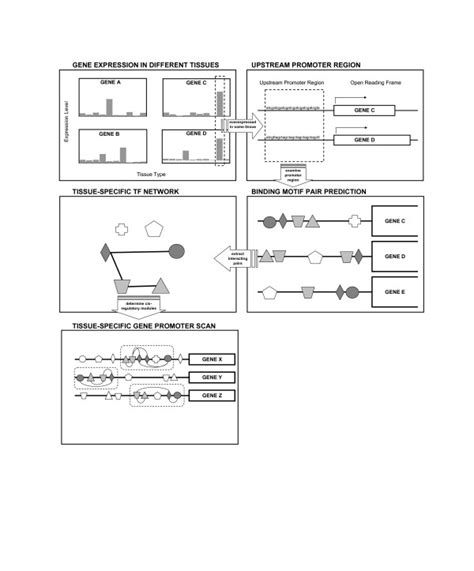 schematic of module detection method based on tf interactions based on