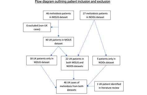 flow diagram of cases from each of the datasets contributing to the