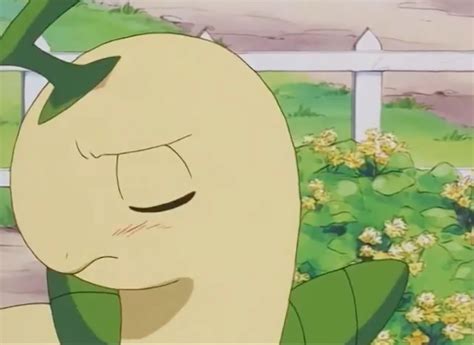 Pokemon Ash E Bayleef